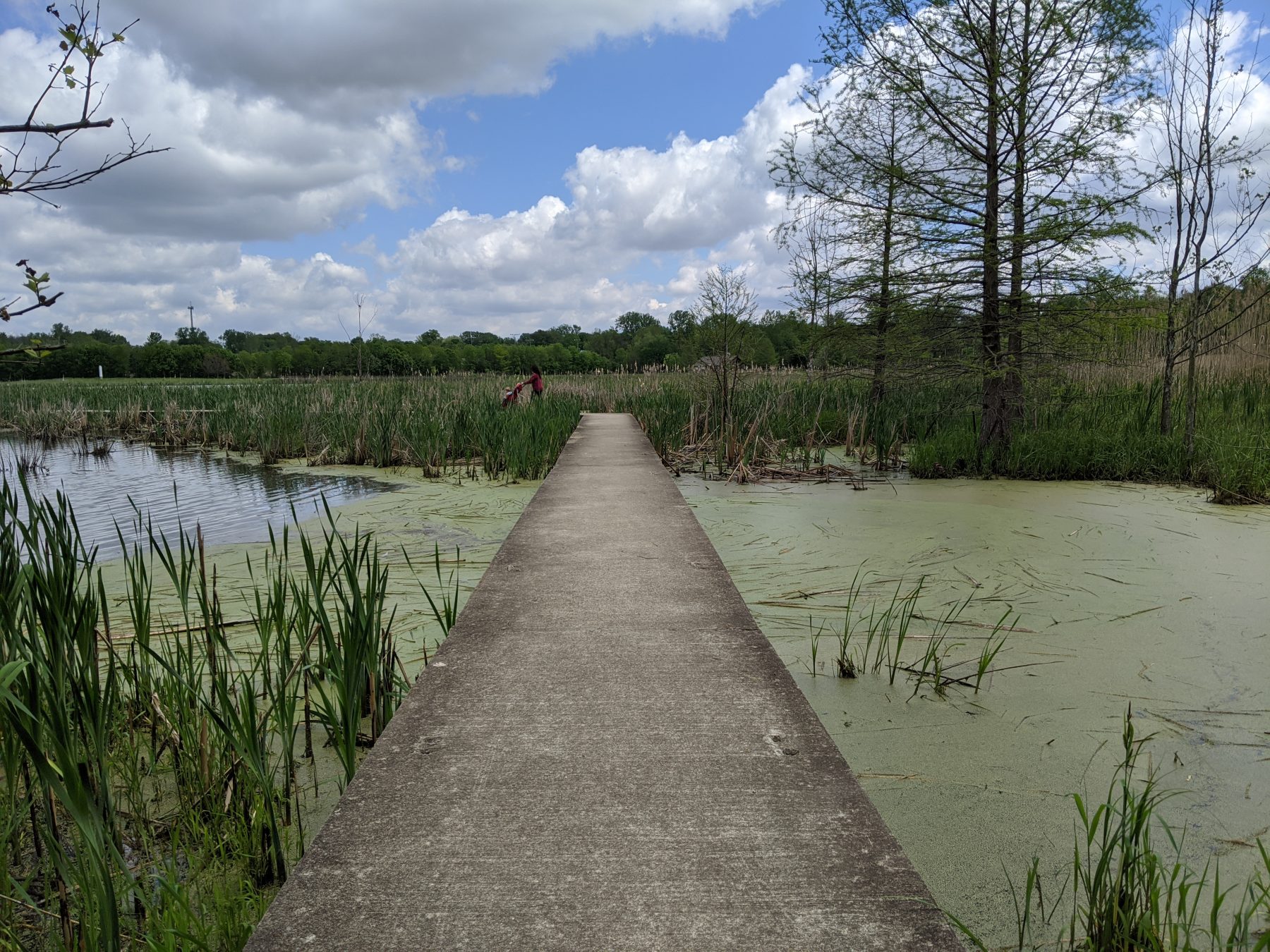 Hikes You Can Take in Downtown St. Louis - Terrain Magazine