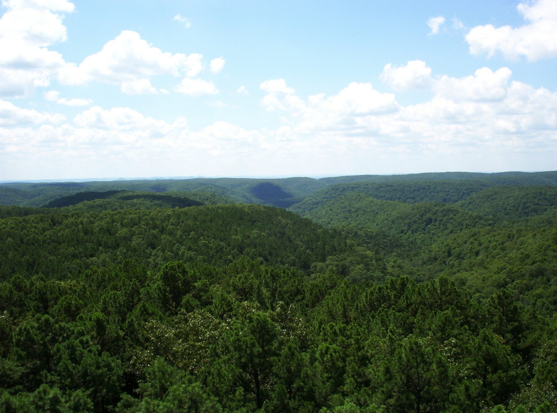 Exploring the Wilderness Areas in Mark Twain National Forest - Terrain ...