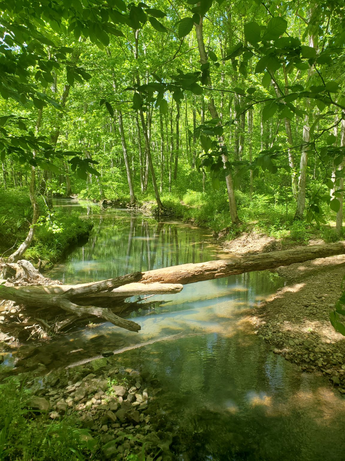 Easing into Backpacking with a Trial Hike - Terrain Magazine